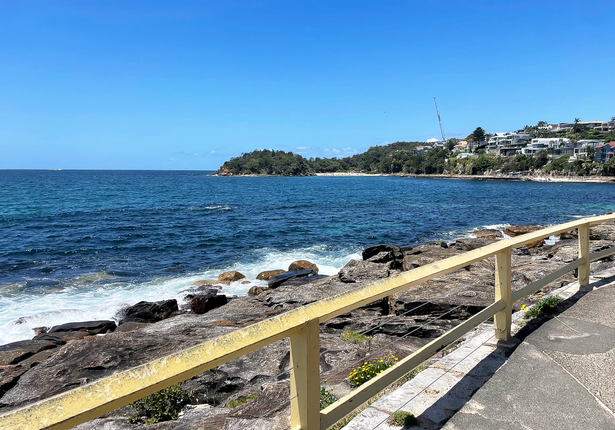 Manly Beach to Shelly Beach Walk Guide - Snorkelverse
