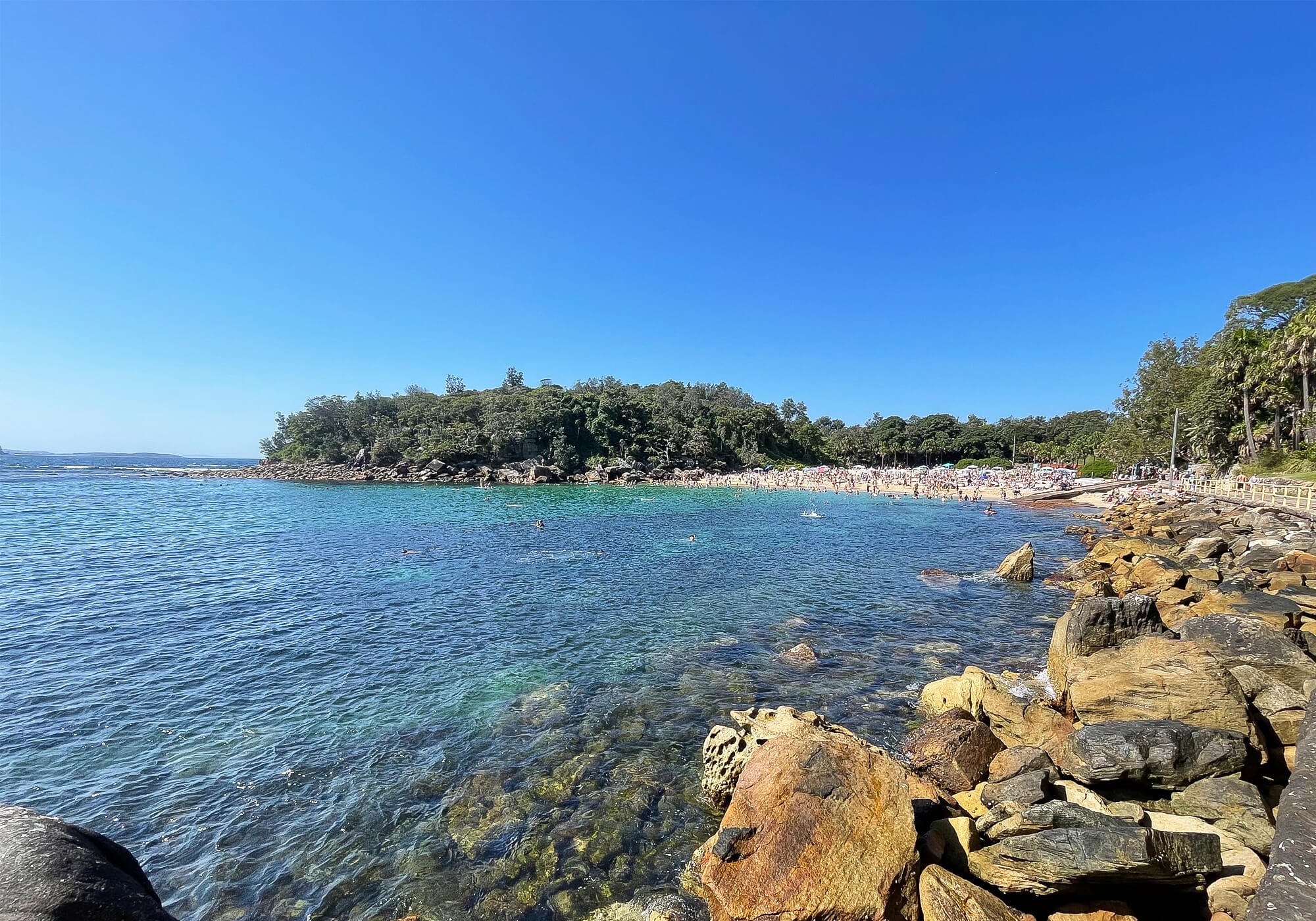 Manly Beach to Shelly Beach Walk Guide - Snorkelverse